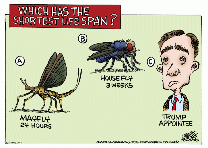 Mother Goose and Grimm/Mike Peters Website